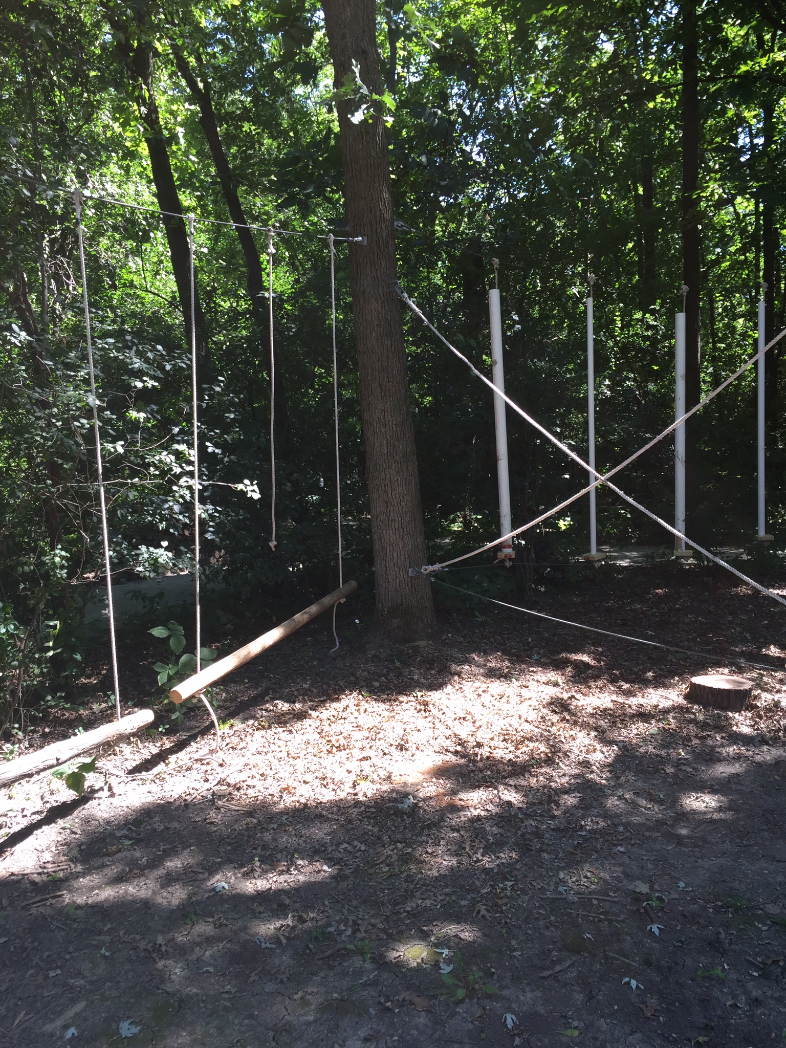 Outdoor Low Rope Courses - Fourth Cliff Adventures