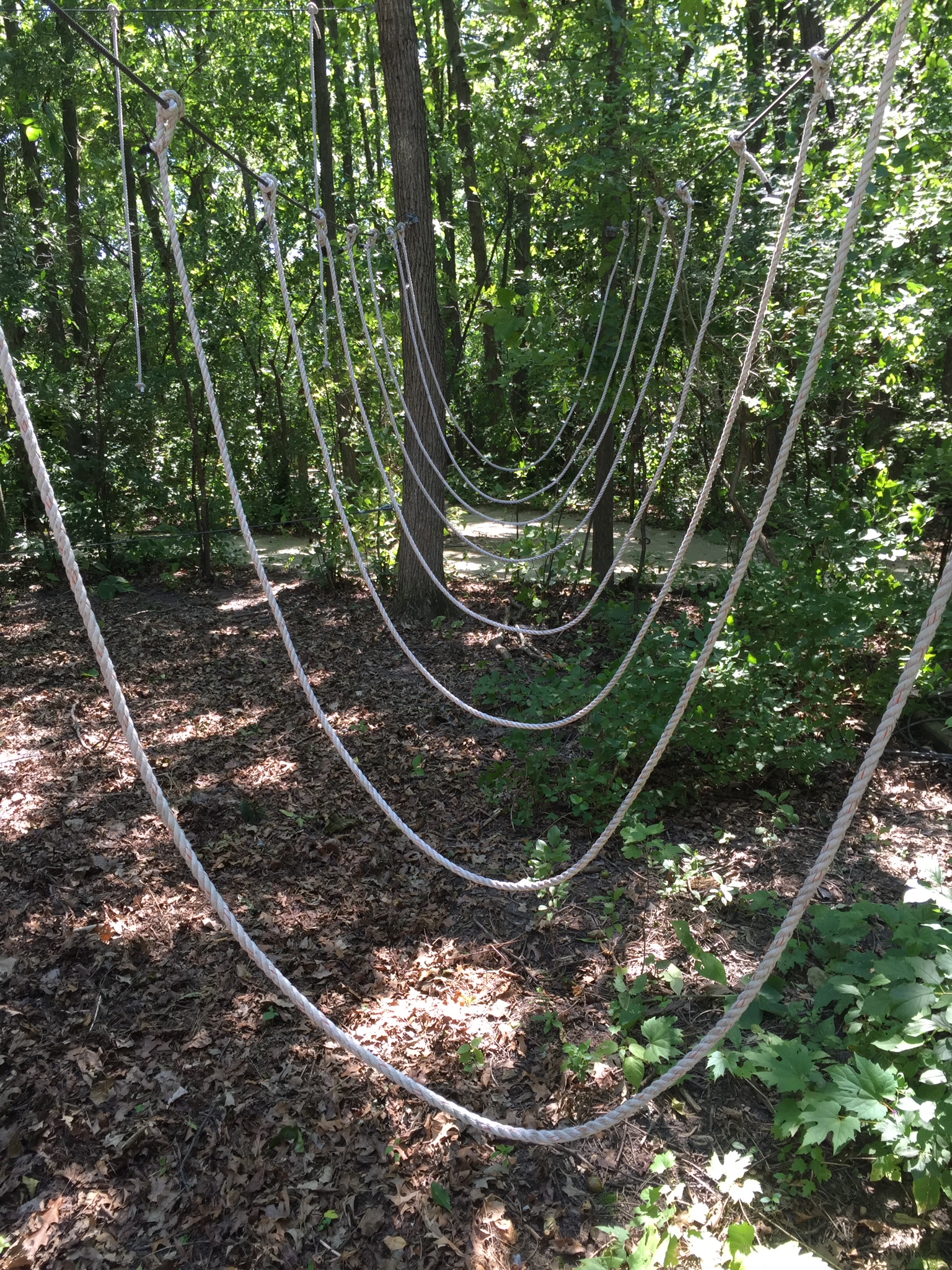 Outdoor Low Rope Courses - Fourth Cliff Adventures